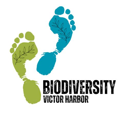 News This Froth And Bubble On The Inman River Weir Is Not Karenia Mikimotoi