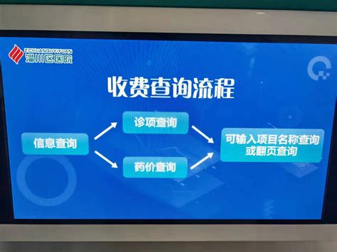 收费查询方法流程