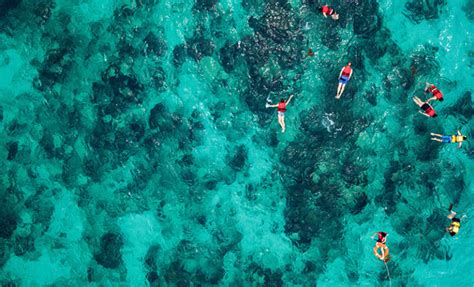3 Best Snorkel Vests Life Jackets Flotation For Snorkeling
