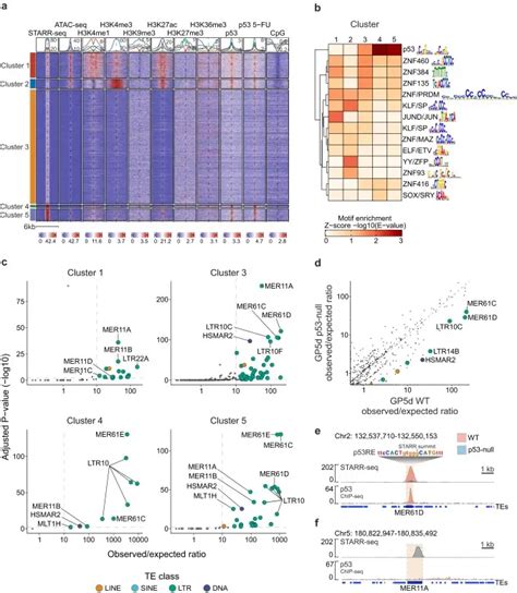 Transposable Elements As Tissue Specific Enhancers In Cancers Of Endodermal Lineage Sahu Lab