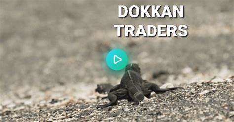 Server Image Album On Imgur