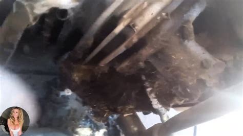 Cube Cadet Zero Turn Mower Ibn For Repairs And Running