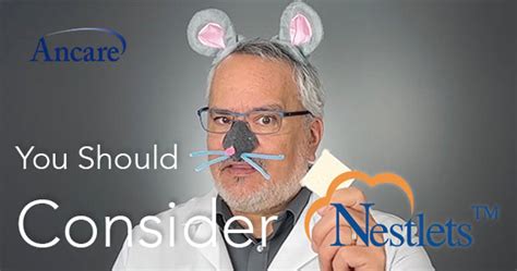You Should Consider Nestlets Ancare