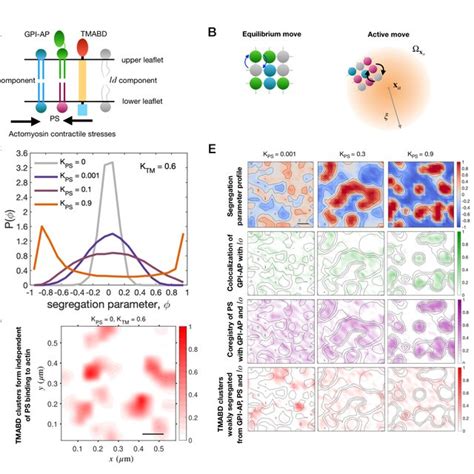 Fig S2 Kinetic Monte Carlo Simulation Model Showing Active Download Scientific Diagram