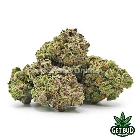 Pink Candy Kush Value Bud Get Bud Online Usa