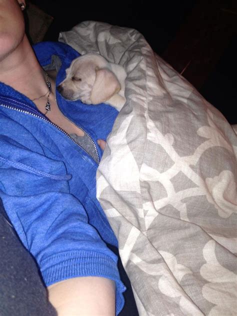 Miley Cyrus 2013 Puppy Erotica10