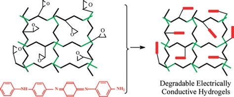Degradable And Electroactive Hydrogels With Tunable Electrical Conductivity And Swelling