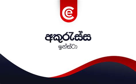 Echem Final Paper Info