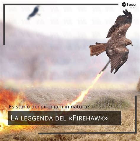 Marco Arduini Posted On Linkedin