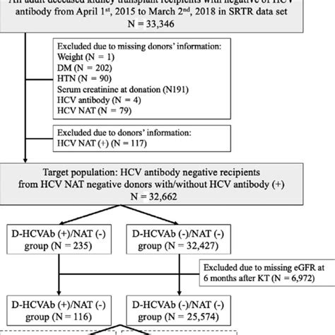 Anti Hepatitis C Virus Antibody Hcv Ab Laboratory Results Reported Download Scientific