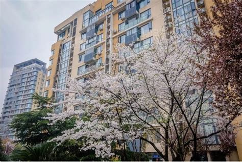 在售好房东湖大郡地段位置如何？来看深度解析 苏州楼盘网