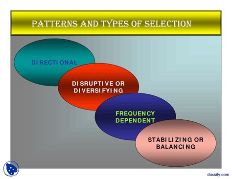 Patterns And Type Of Selection Cell Biology Lecture Slides Docsity