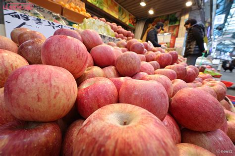 서울시 내 손안에 서울