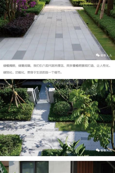 必看案例重庆龙湖长滩原麓栖麓联排 蓝调国际 搜狐大视野 搜狐新闻