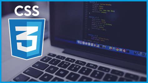 Udemy Gratis En Español Curso De Css Desde Cero Facialix