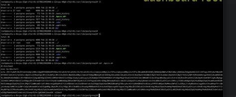 Investigation Into Postgres Malware Hack Dev Community