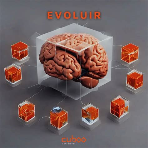 Experiências Experience Cubooexp Jornadacriativa Learning Aprendizado Cuboo Experience