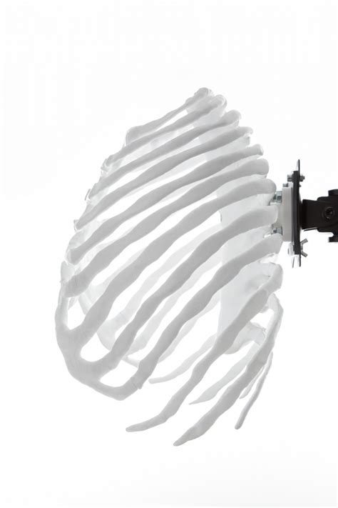 Realistic 3d Printed Thoracic Models For Surgical Training