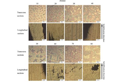 Microstructure And Pore Morphology At Different Heights R 0 1 Download Scientific Diagram