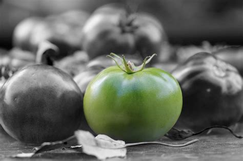Color Isolation