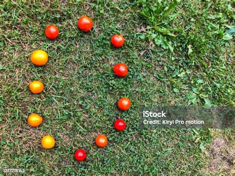 토마토로 만든 편지 야채의 비문 문자 O는 빨간색과 노란색 육즙과 둥근 토마토 줄 지어있다 비타민 편지 허브의 배경에 단어의 창조적 인 쓰기 0명에 대한 스톡 사진 및 기타