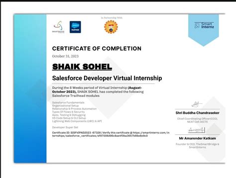 Sohel Shaik On Linkedin Salesforce Organizational Relationship