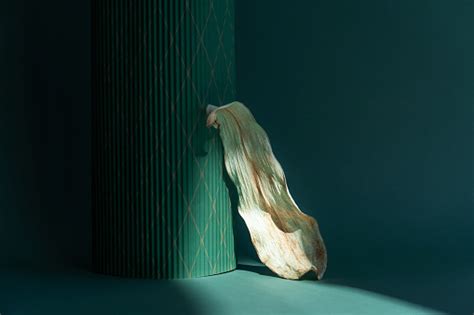 녹색 배경의 그늘에있는 자연 건조한 가을 잎에 연단 천연 목재 소재 뷰티 화장품 나무 디스플레이 전시회 제품 화장품 건강을위한 레이아웃 Fashion Show에 대한 스톡