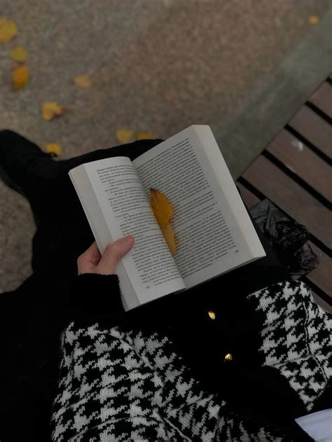 𝒎𝒚𝒄𝒂𝒏𝒏𝒂𝒕 Летние фотографии природы Случайные цитаты Картинки