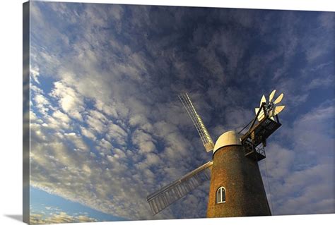 Windy Miller Great Big Canvas