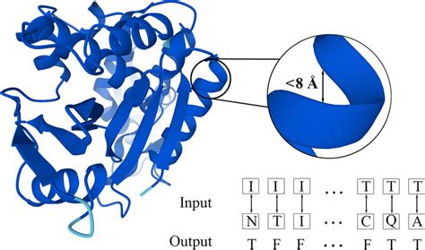 Illustration Of Contact Prediction Where The 3d Structure Is Download Scientific Diagram