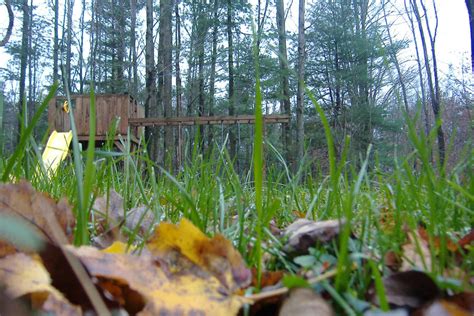 Hidden By Spinniker On Deviantart