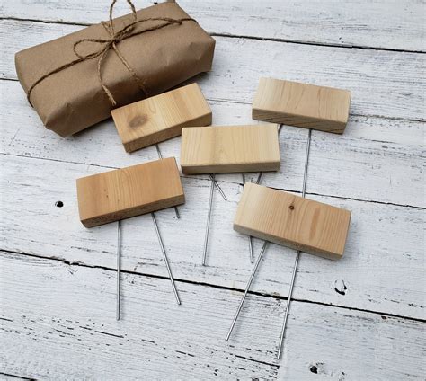 Blank Garden Plant Markers T Sets Timber Taberna