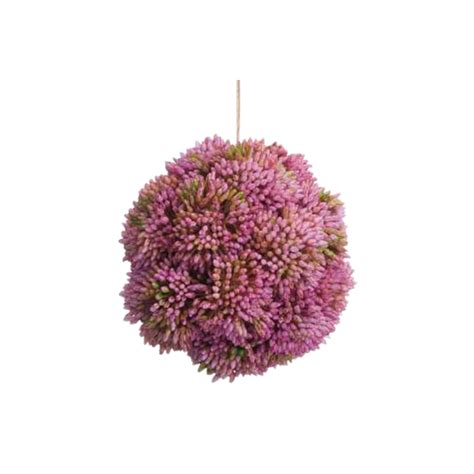 Pink Orb Succulent The Loft By Lee Douglas Interiors