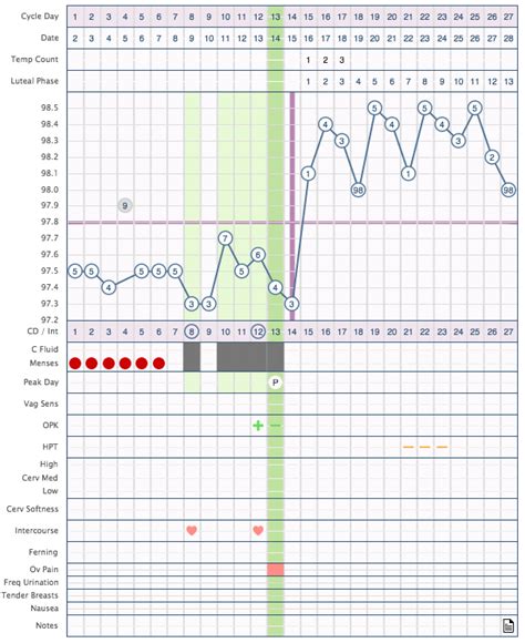 Typical Cycles Ovagraph