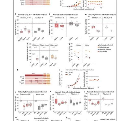 Epistatic Effect Of Mutations Within The Spike Rbd A Schematic Of