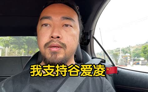 我实名支持谷爱凌你们可以骂我了 峰哥亡命天涯 峰哥亡命天涯 哔哩哔哩视频