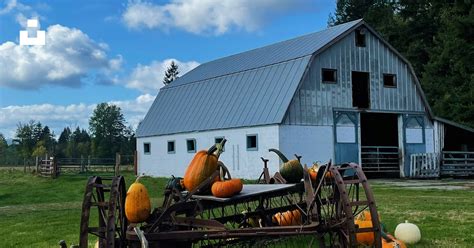 마차에 호박이 있고 배경에 헛간이 있는 농장 사진 Unsplash의 무료 가을 이미지