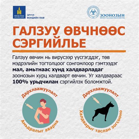 Галзуу өвчнөөс сэргийлье ЗӨСҮТ