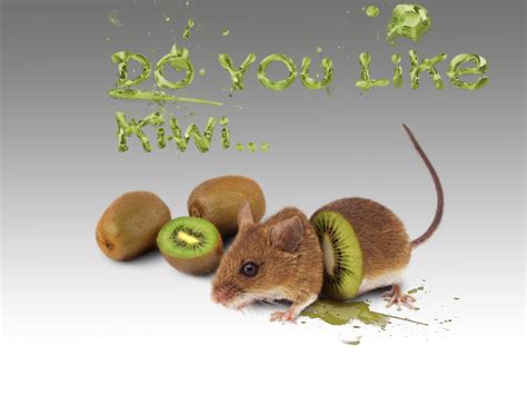 Kiwi Mouse By Paskoff On Deviantart