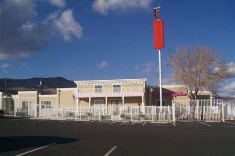 Nevada Prostitute Wants To Be On New 10 Bill Uncategorized