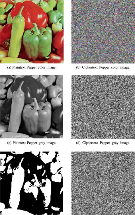 encryption results of the proposed scheme download scientific diagram