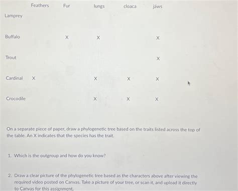 Solved On A Separate Piece Of Paper Draw A Phylogenetic Chegg