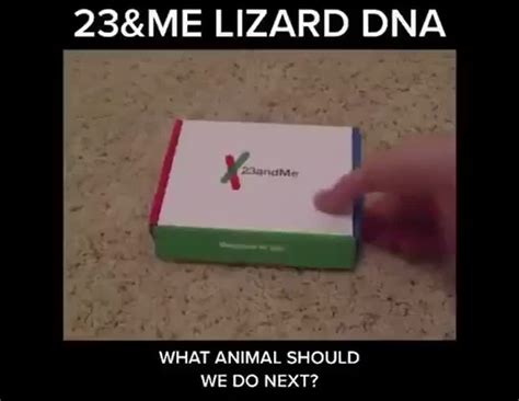 Video Paul L On Linkedin Dna Is A Label Created So That You Continue To Believe They Are