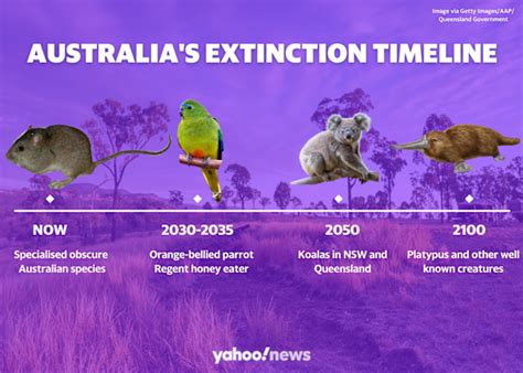 What Aussie Species Will Be Extinct By 2050 Embarrassing