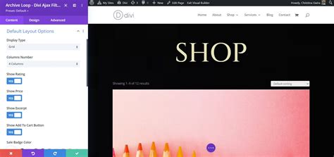 Divi Plugin Highlight Divi Ajax Filter Ask The Egghead Inc