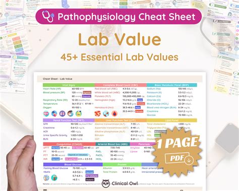 Lab Value Cheat Sheet 1 Page Etsy