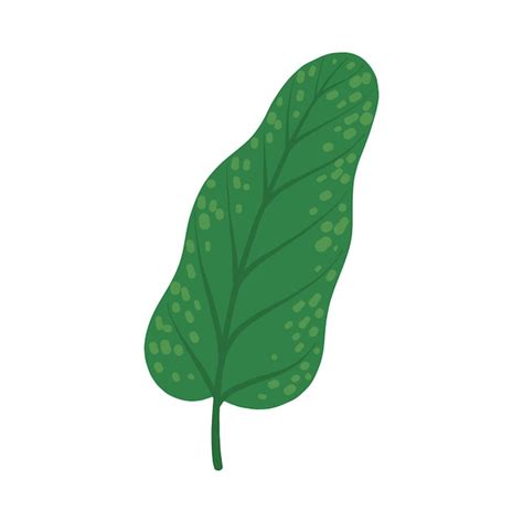 Premium Vector Tropical Leaf On Stem As Exotic Flora Vector Illustration