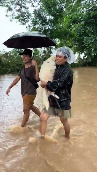 စာနာစိတ်နဲ့ အာဝုလေးတွေကိုပါ ကယ်ပေးနေကြတာ ကြည်နူးစရာ Youtube