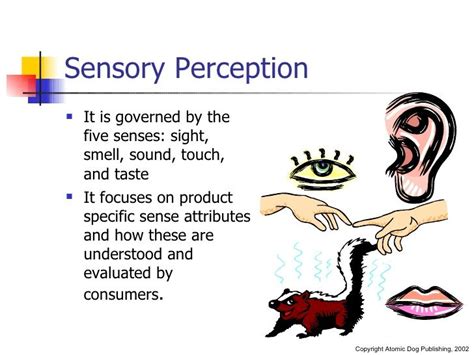 Memory Learning Perception Cognitive Psychology Teaching Psychology Perception