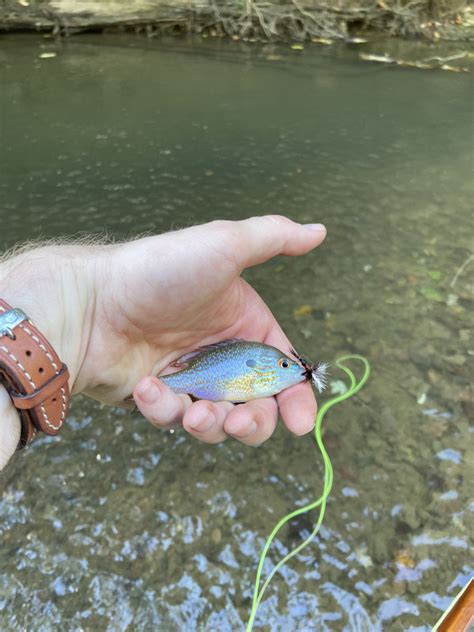 94 B8 Efee Ee1 C 4 E09 Af4 B 33448674 Eee1 — Postimages